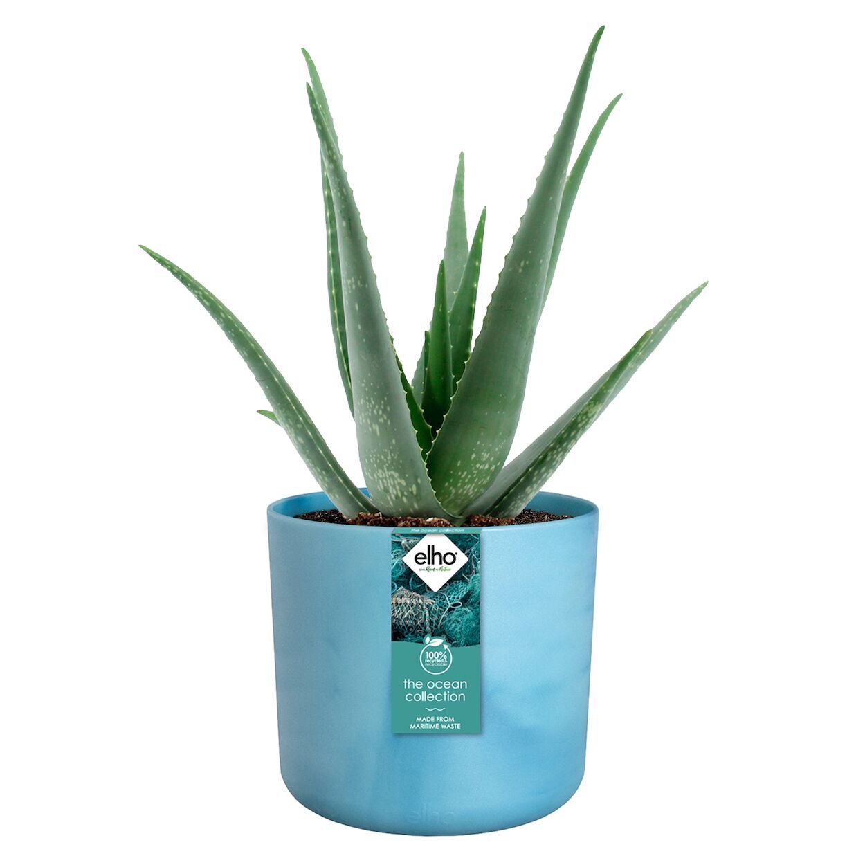 The Ocean Collection Pot 18cm Blue | Woodie's
