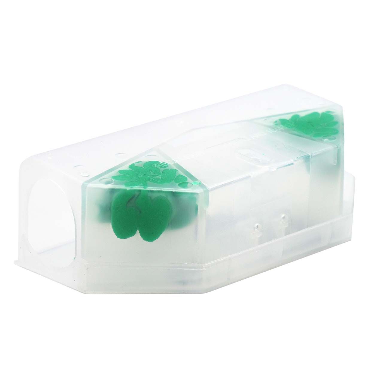 Rentokil Fast Action Mouse Killer Twin Pack | Woodie's
